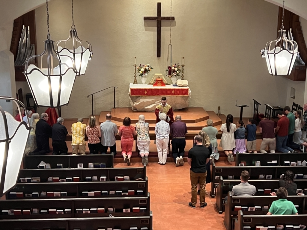 Sermon Deacon Ory Schultheis Ordination | Christ Anglican Church
